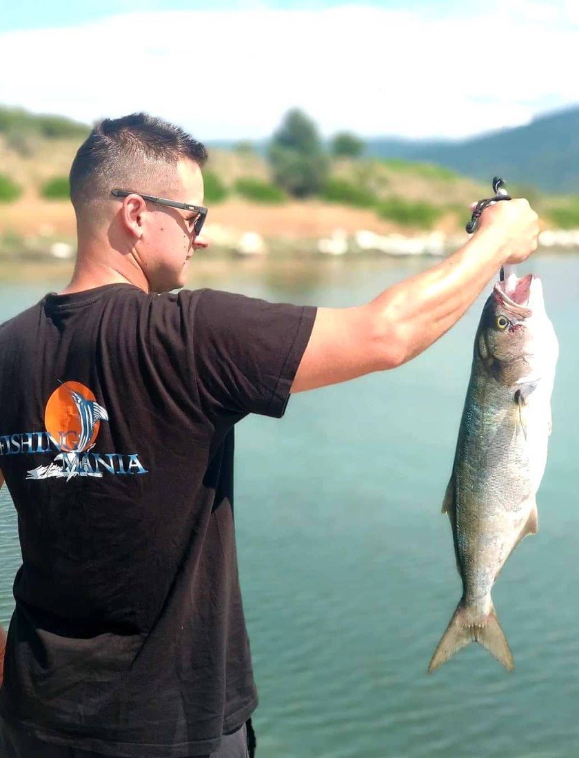 Fishing Mania - Είδη Αλιείας