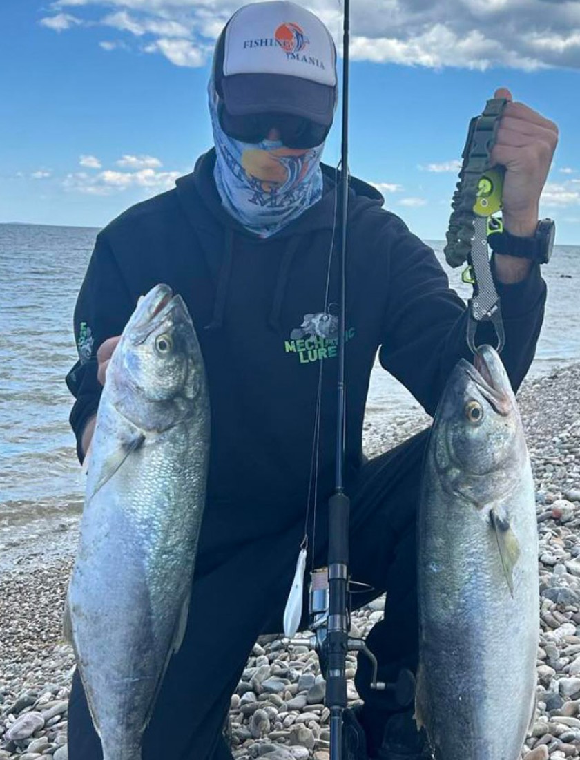 Fishing Mania - Είδη Αλιείας