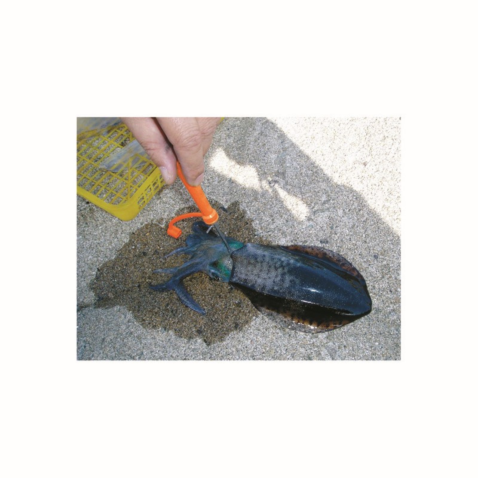 Nakazima Needle IKA-SHINKEI